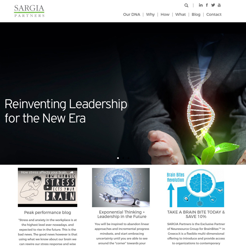 Κατασκευή ιστοσελίδας για την Sargia Partners